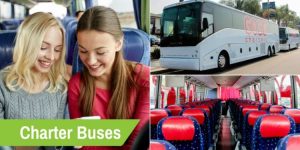 Choosing the Best Bus Type for Your Group - GOGO Charters